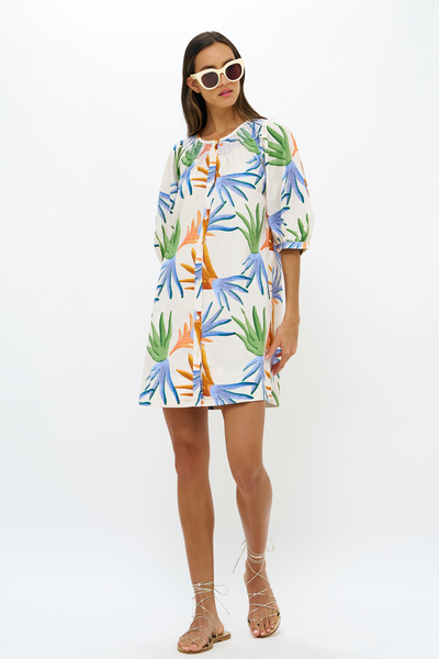 DRESSES – Page 4 – OLIPHANTDESIGN